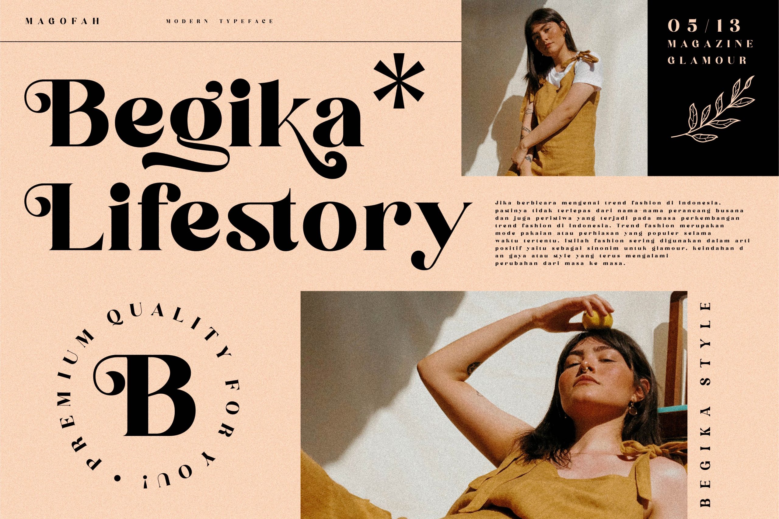 Begika Modern and Classy Serif Font - Download Free Font