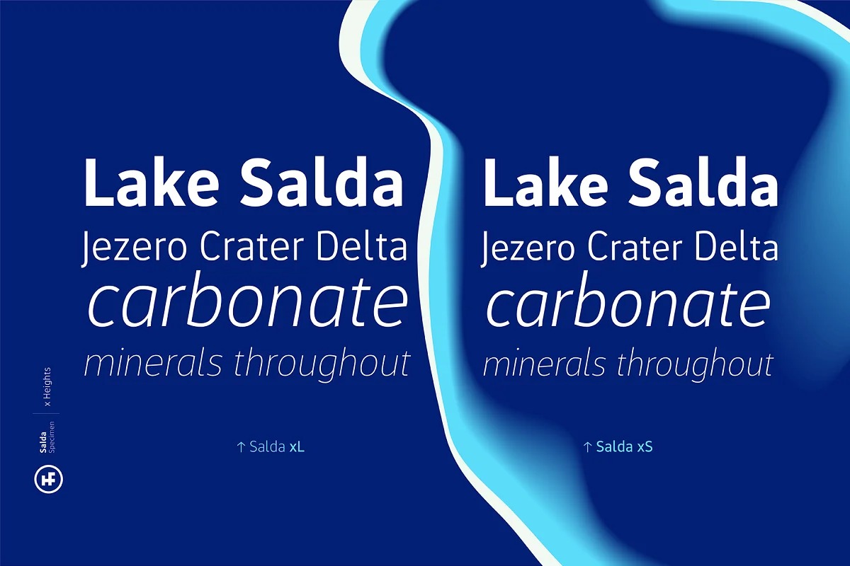 Salda Font Family - Download Free Font