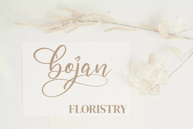 Cyndi Aulya Font - Download Free Font