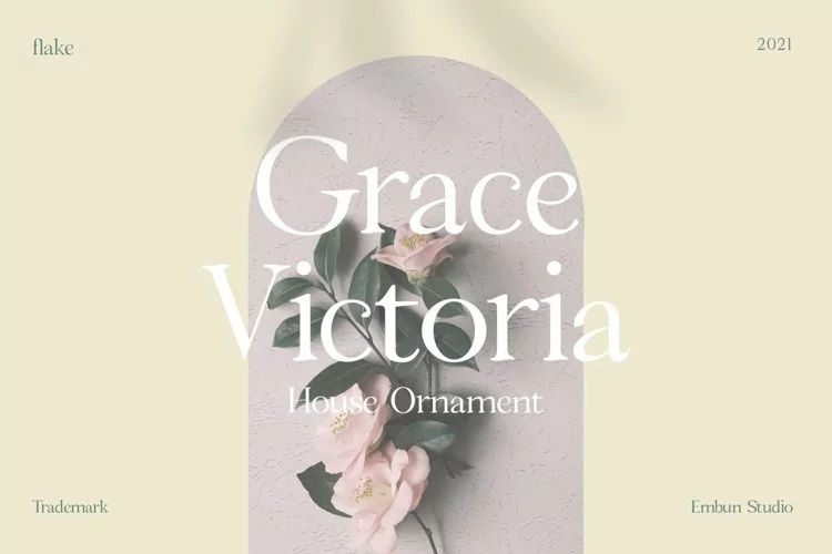 Flake Font - Download Free Font