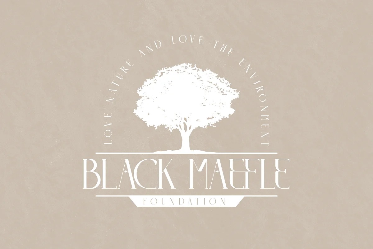 Literacy Font - Download Free Font