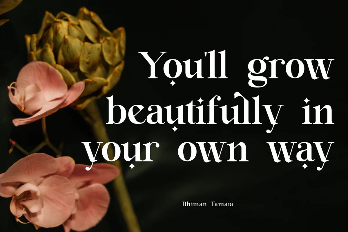 Ring Netlike Font - Download Free Font