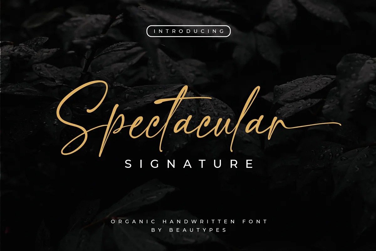 Spectacular Font - Download Free Font