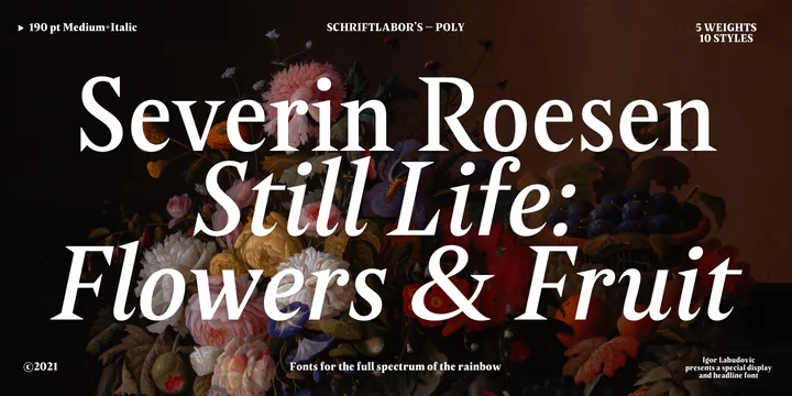 Poly Font Family - Download Free Font
