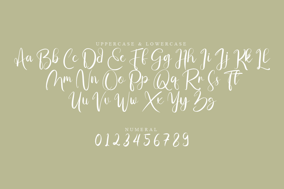 Mefig Font - Download Free Font