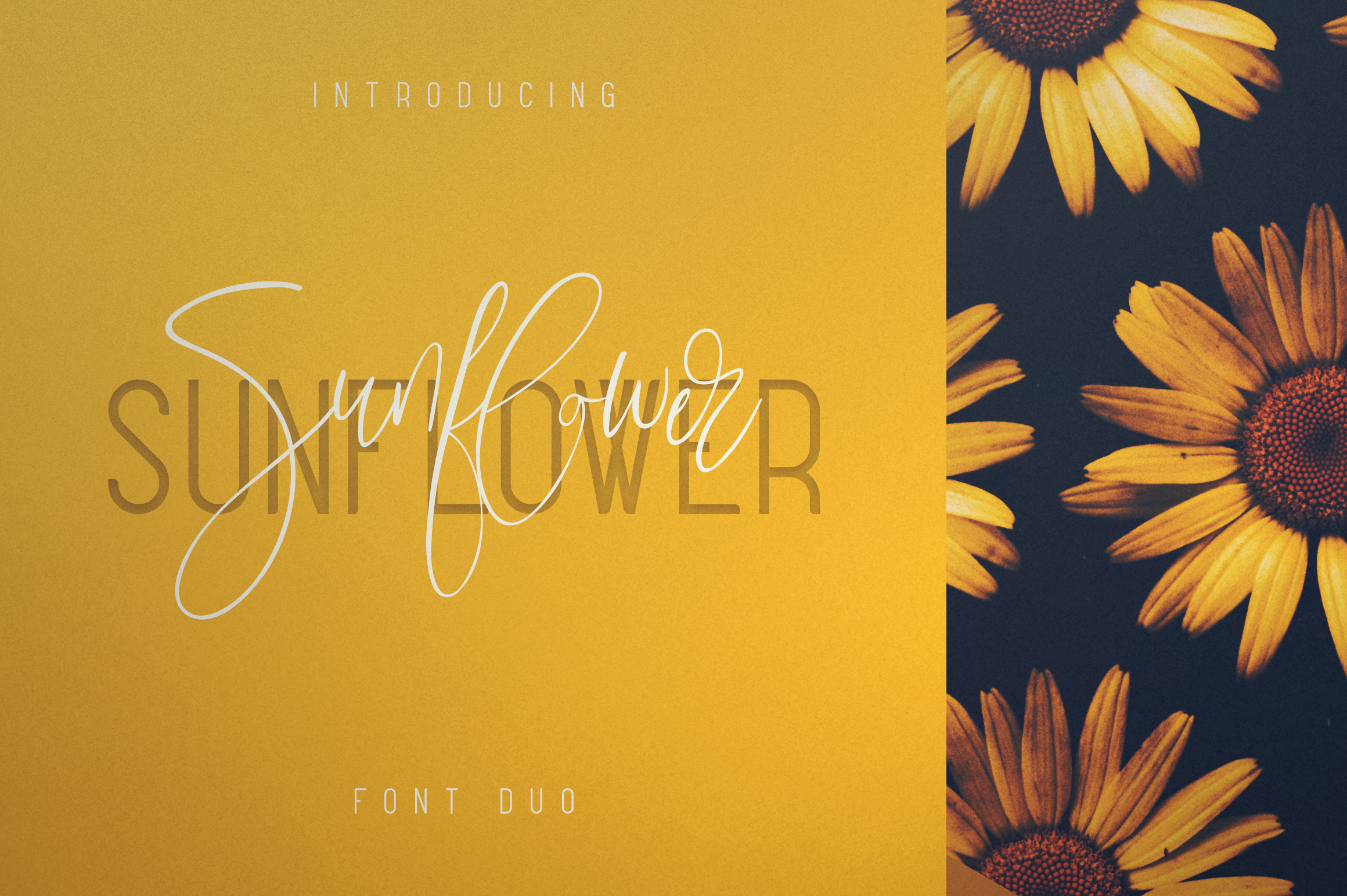 Sunflower Typeface - Download Free Font