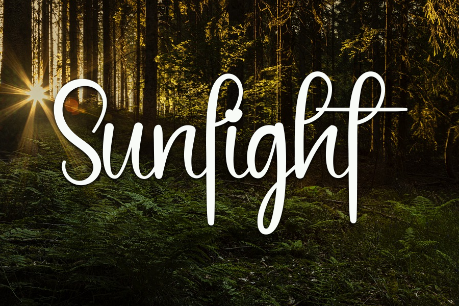 Black Signature Script Font - Download Free Font