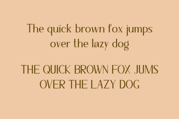 Wile Font - Download Free Font