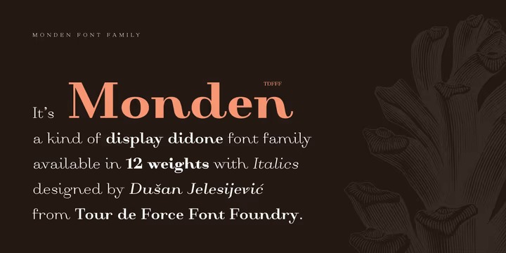Monden Font Family - Download Free Font