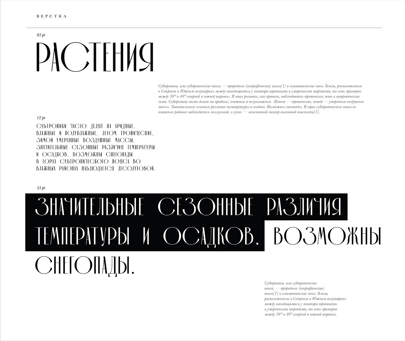 Santa Catarina Font - Download Free Font