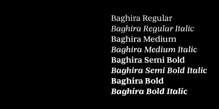 Baghira Font Family - Download Free Font