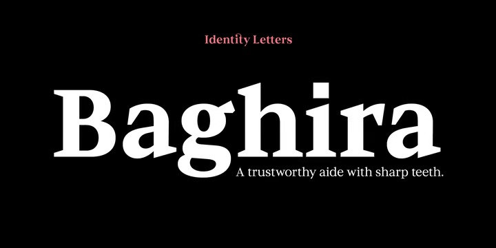 Baghira Font Family - Download Free Font