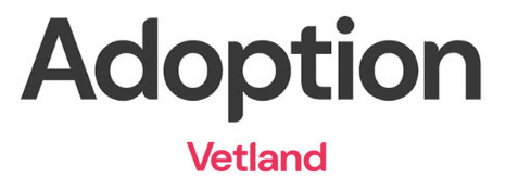 What Font Is - Download free fonts