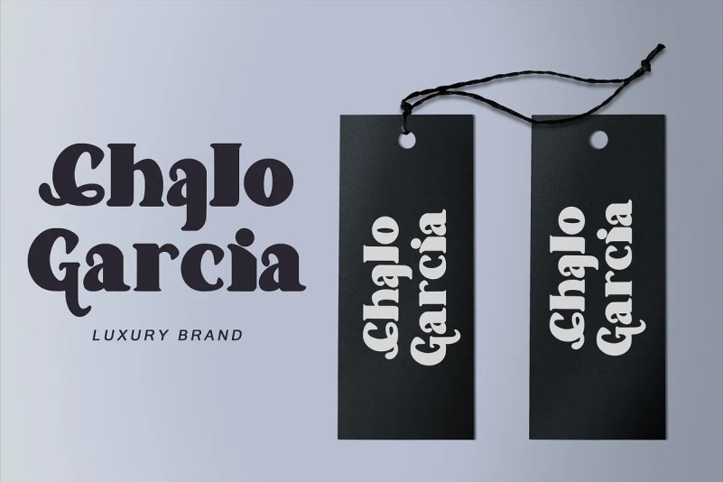 Luxurious Gallery Font - Download Free Font