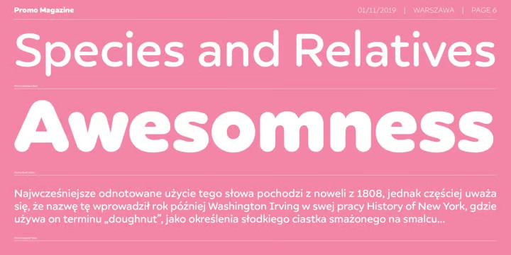 Promo Font Family - Download Free Font