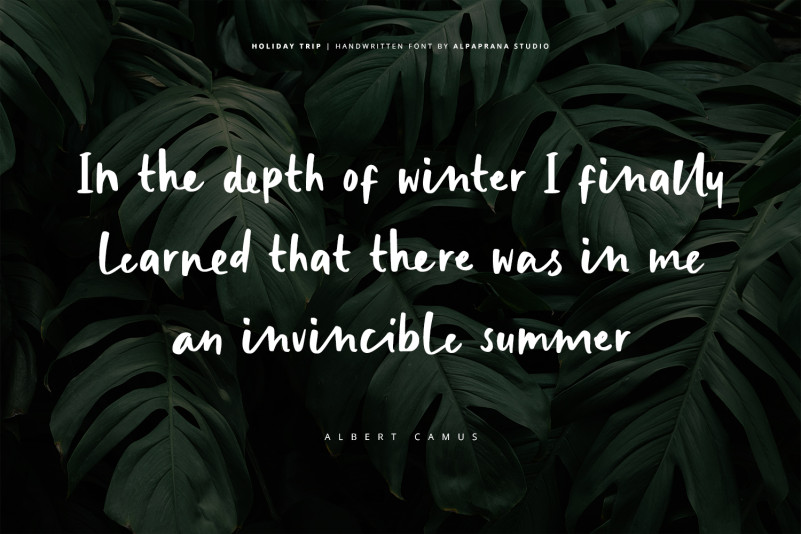 Holiday Trip Font - Download Free Font