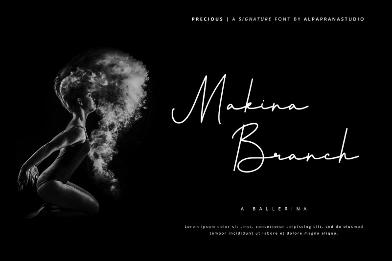 Precious Typeface - Download Free Font