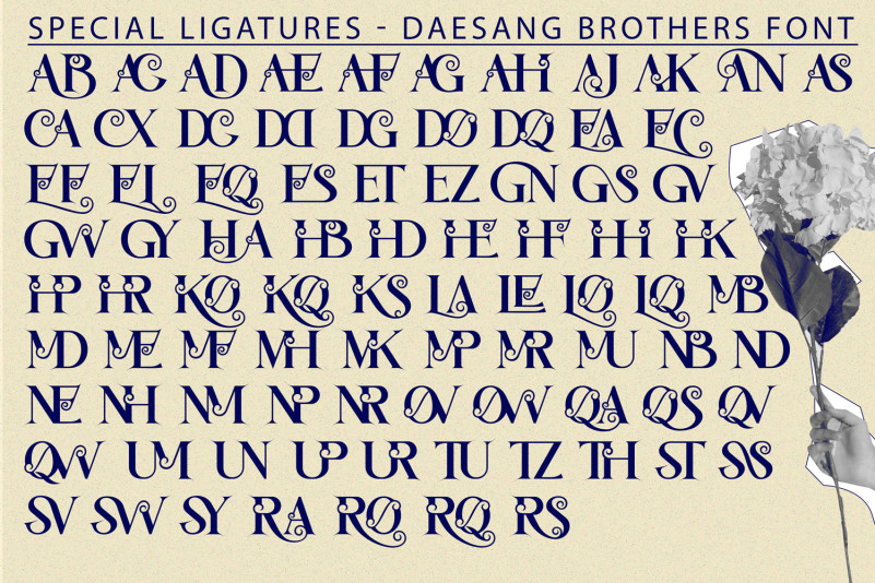 Daesang Brothers Font - Download Free Font