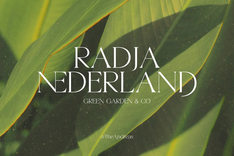 Andreas Font - Download Free Font