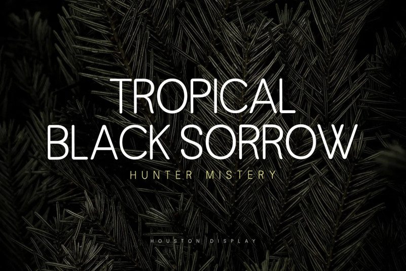 Houston Typeface - Download Free Font