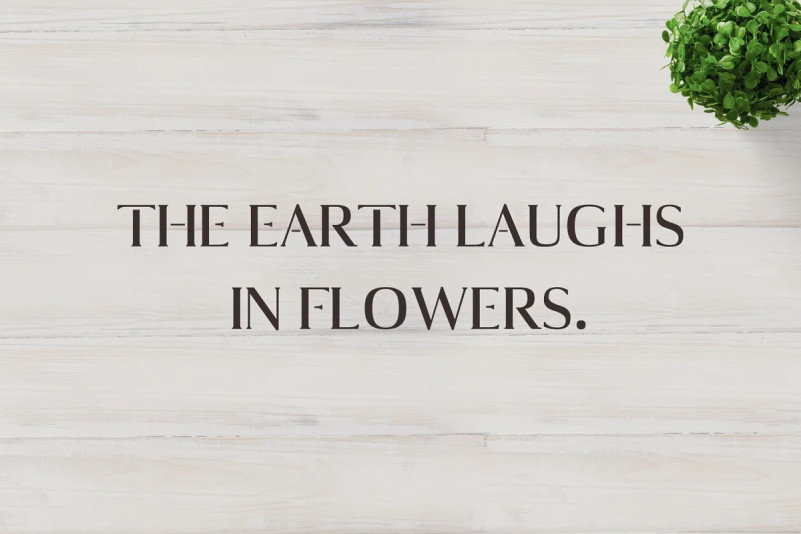 Maaz Font - Download Free Font