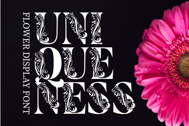 Flower Display Font - Download Free Font