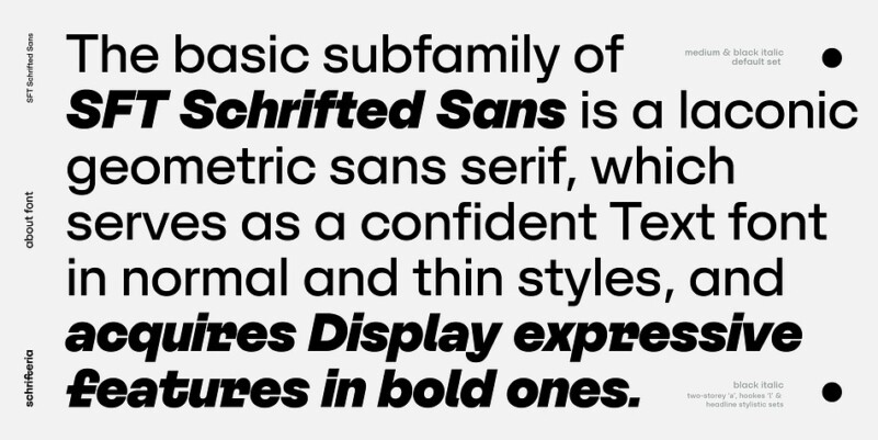 SFT Schrifted Sans Font Family - Download Free Font