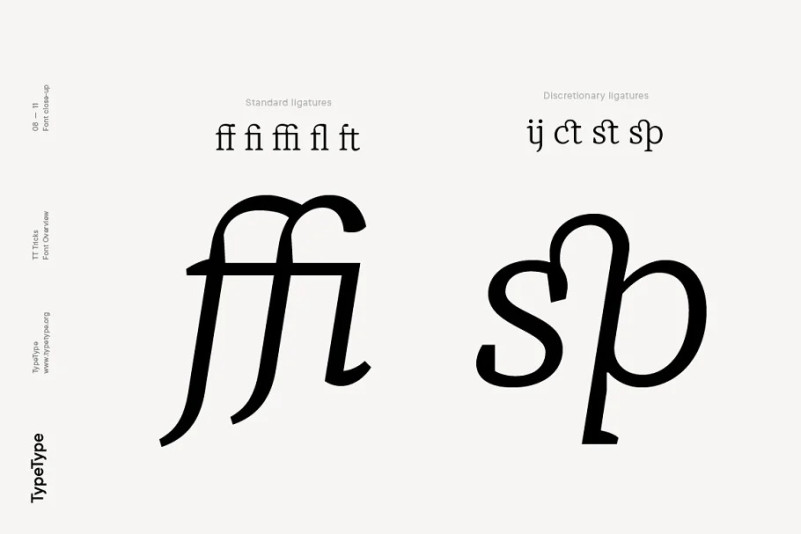 TT Tricks Font Family - Download Free Font