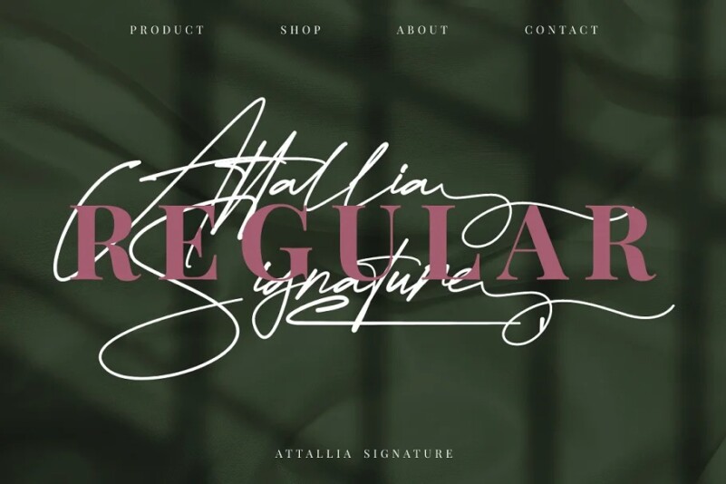 Attallia Signature Font - Download Free Font