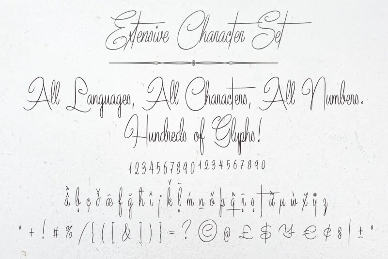 Bundey Script Font - Download Free Font