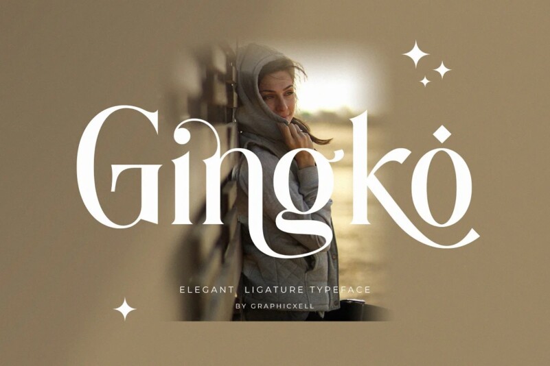 Gingko Font - Download Free Font