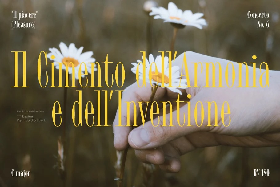 TT Espina Font Family - Download Free Font