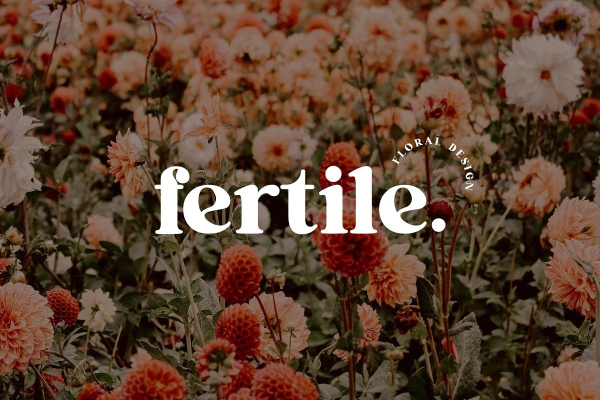 Maggie Chevylia Font - Download Free Font