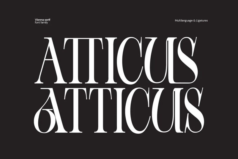 Vienna Typeface - Download Free Font