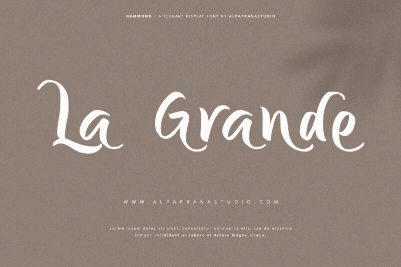 Hammond Font - Download Free Font