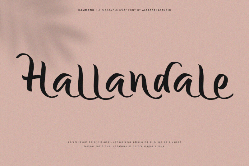 Hammond Font - Download Free Font