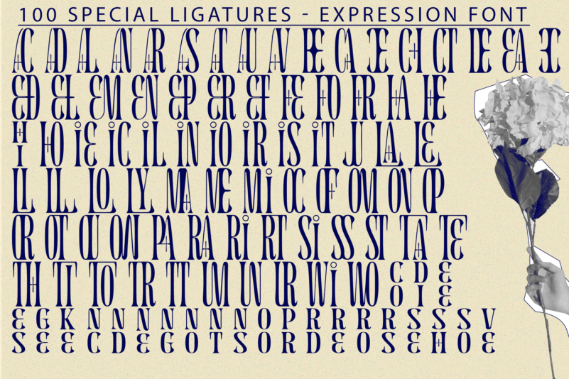Expression Font - Download Free Font