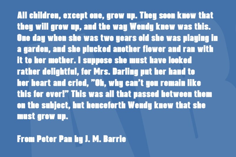 Elevate Sans Font - Download Free Font