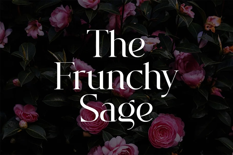 Ignacio Maverick Font - Download Free Font