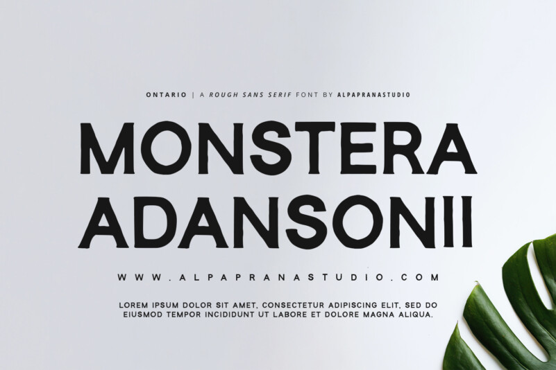 Ontario Font - Download Free Font