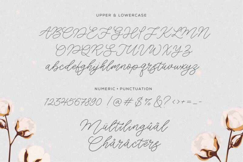 Cotton Fields Font - Download Free Font
