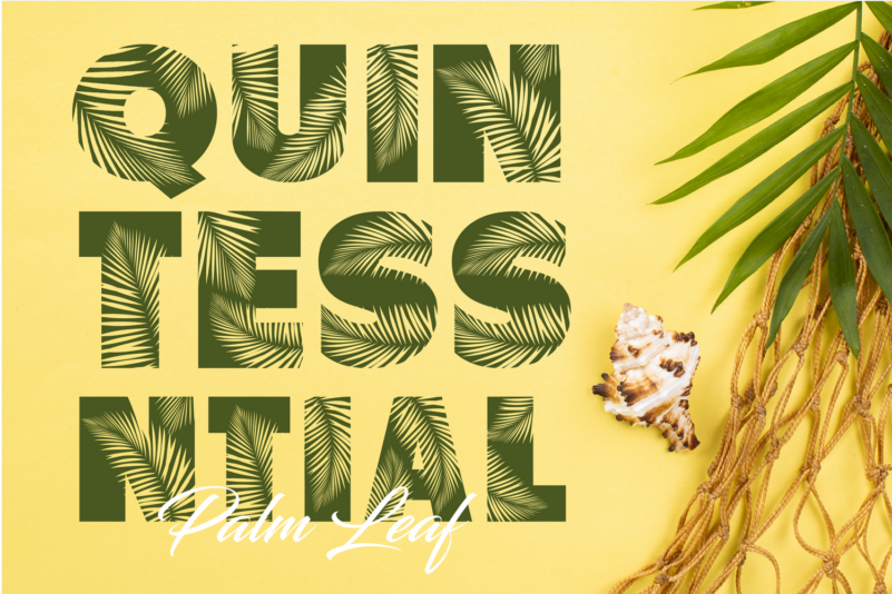 Palm Leaf Font - Download Free Font