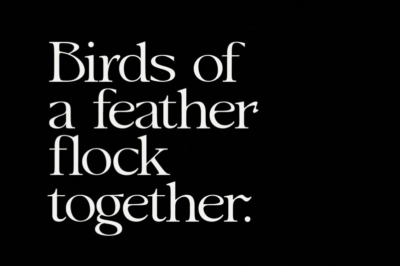 Ark Font - Download Free Font