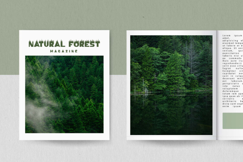 Natural Forest Font - Download Free Font