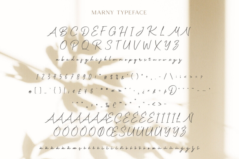 Marny Signature Font - Download Free Font