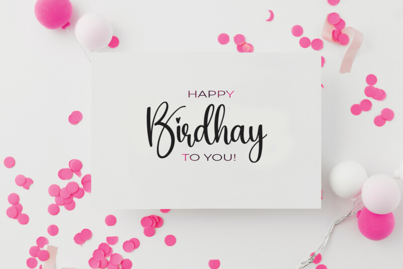 Anybody Font - Download Free Font