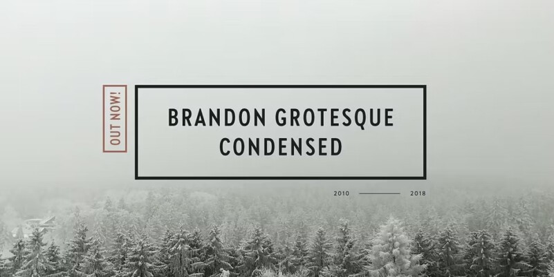 Brandon Alejandro Rey