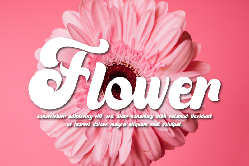 Thinking Script Font - Download Free Font