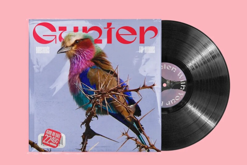 Gunter Font - Download Free Font