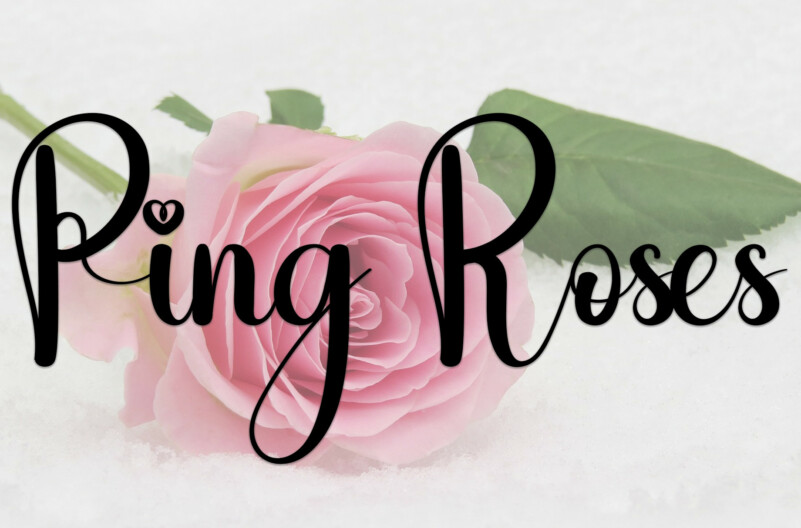 Sand Beach Script Font - Download Free Font
